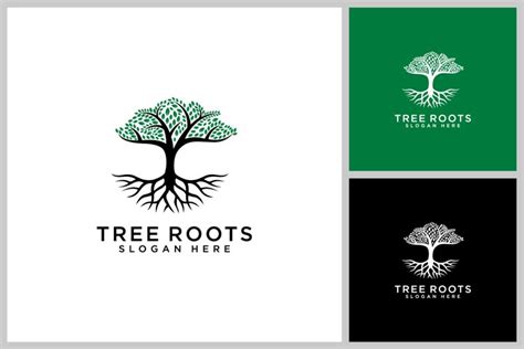 Tree And Root Vector Design Template