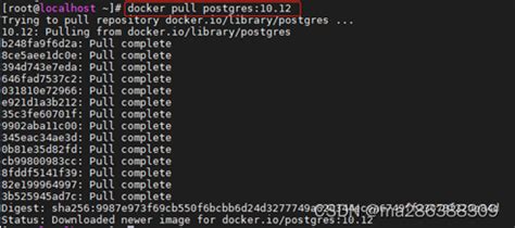 使用docker部署postgreSQL数据库 docker pgsql CSDN博客