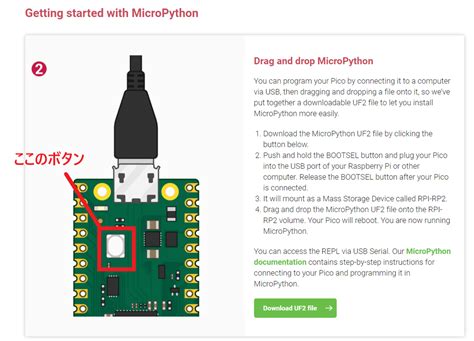 【raspberry pi pico windows】raspberry pi picoの環境構築する micropython ソースに絡まるエスカルゴ