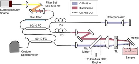 A Schematic Plot Of The 1 3µm Da Oct System A Flip Mirror In The Download Scientific Diagram