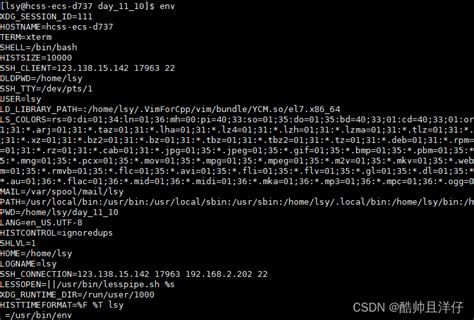 Linux 进程优先级 环境变量 Csdn博客