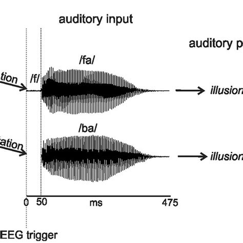 Hypothesis And Stimuli A Visual Depiction Of Our Hypothesis When Download Scientific Diagram