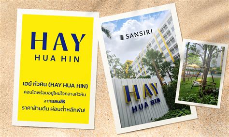 Aug 04 2023 View 2 546