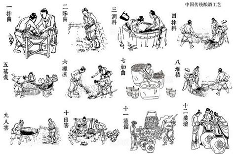 手绘线稿中国传统酿酒工艺流程免抠图插画 花瓣网