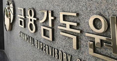 모든 계좌 조회·강제 검사 막강 파워 ‘한국판 Sec 띄운다
