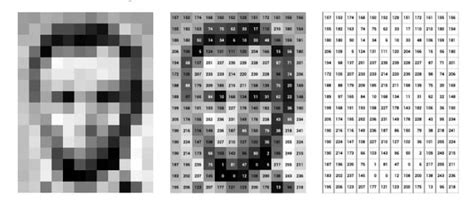 Understanding Images With Skimage Python R Deeplearning