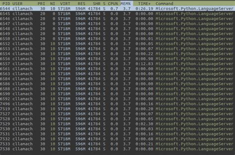 Memory Usage Increase · Issue 735 · Microsoftpython Language Server