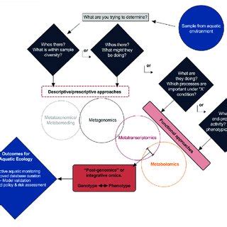 A Schematic Of The Multi Omics Approaches Discussed With Download Scientific Diagram