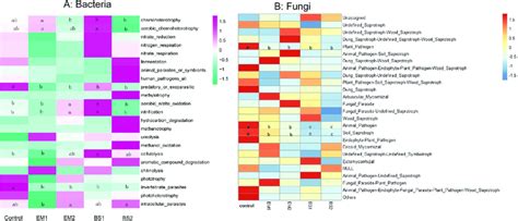 Functional Prediction Analysis Heatmap Showing Relative Functional