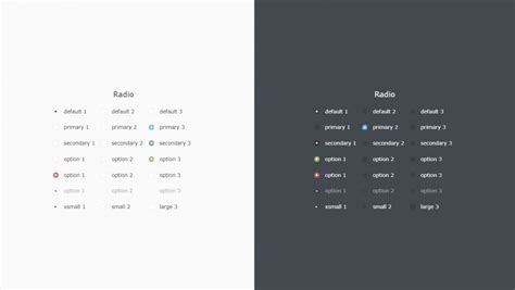 15 Javascript Radio Button Design Examples Onaircode