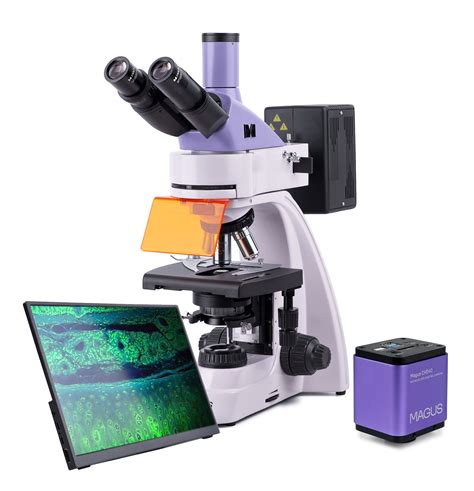 Magus Lum D400 Lcd Fluorescence Digital Microscope Buy From The
