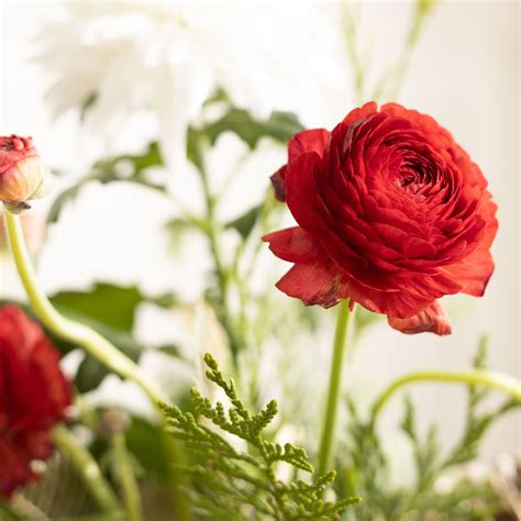 Tiny Tim Stems Flower Shop Cafe Red Deer And Central Alberta