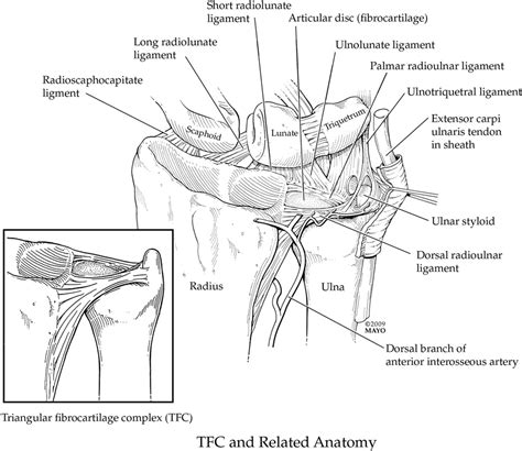 Figure 1 From Arthroscopic And Open Repair Of The Tfcc Semantic Scholar