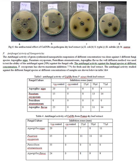 Green Synthesis Of Copper Nanoparticles Using Leaf Extract Of
