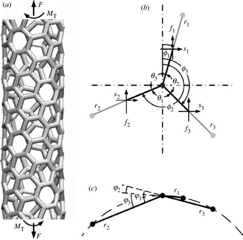 Illustration Of A N M Carbon Nanotube A Global Structure B Download Scientific Diagram