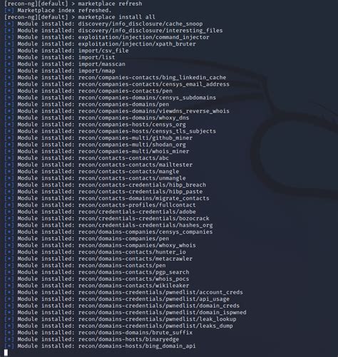 Приручение черного дракона Этичный хакинг с Kali Linux Часть 8 Методы и средства внешней