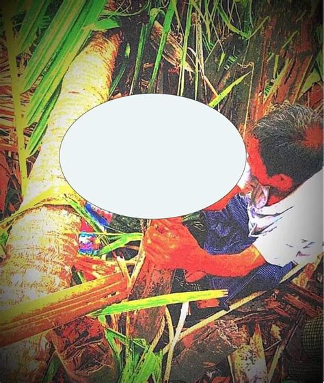 ရမ်းဗြဲမြို့မှာ မုန်တိုင်းဒဏ်ကာကွယ်ဖို့ လင္းေန တဲ့ လဝန္း