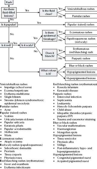 Dermatologic Conditions Obgyn Key