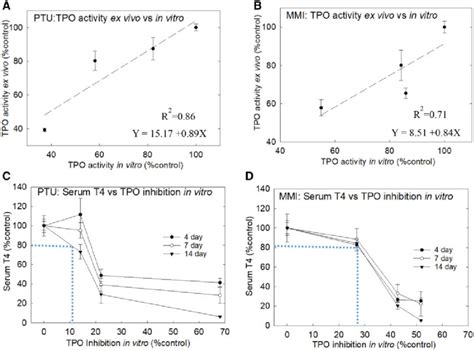 Quantitative Relationships Ex Vivo And In Vitro Extrapolation All
