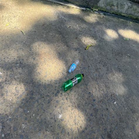 Litter Detection Model Dataset And Pre Trained Model By Abc