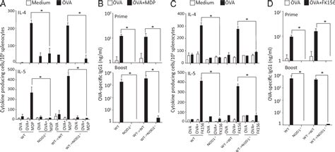 Figure 1 From Nucleotide Oligomerization Domain Containing Proteins Instruct T Cell Helper Type