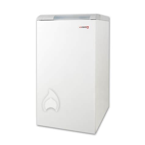 Купить Газовый напольный котел Protherm Медведь 40 KLOM (Одноконтурный ...