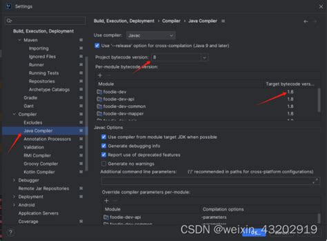 Idea无效的目标发行版 21和找不到或无法加载主类 Comimoocapplication Csdn博客