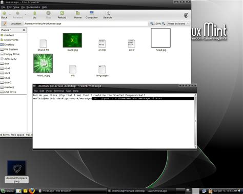 how to install and use gfxboot graphical grub linux mint forums