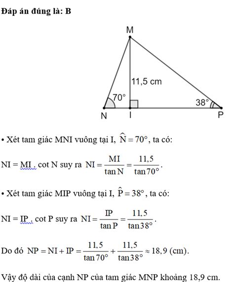 Cho Tam Gi C Mnp C G C N G C P Ng Cao Mi