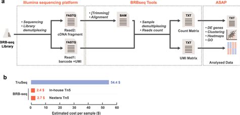 The Streamlined Brb Seq Data Analysis Workflow And Its Low Cost A
