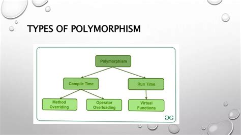 Polymorphismpptx