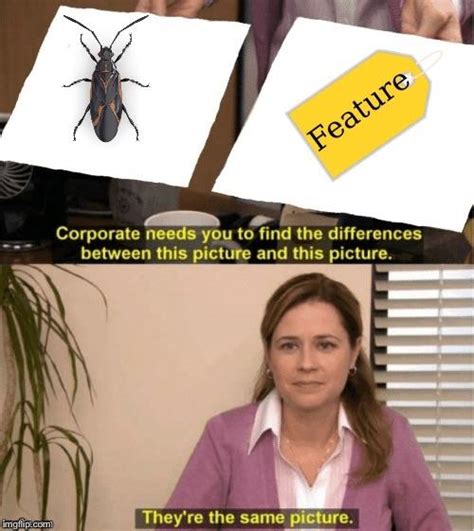 microsoft be like r programmerhumor