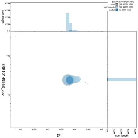Genome Assembly Of Caradrina Kadenii Ilcarkade11 Blobtoolkit Download Scientific Diagram