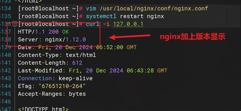 如何隐藏 Nginx 版本号 并自定义服务器信息提升安全性 腾讯云开发者社区 腾讯云
