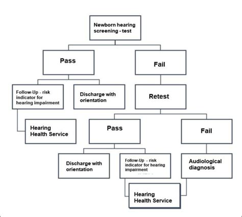 Figure A Flowchart Of The Maternity Newborn Hearing Screening Program Download Scientific