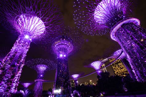 Canon Eos R The Danamic Review