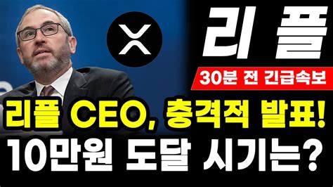 리플 전망 리플 Ceo 갈링하우스 충격 발표에 투자자들 들썩 업비트시황 코인시황 급등코인추천 리플대응 Youtube