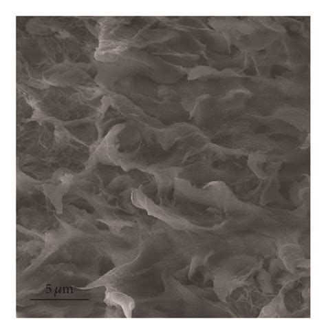 A Displacement Load Curves Of Nano Ppy Ommt Ilgpe And Ilgpe B Tg