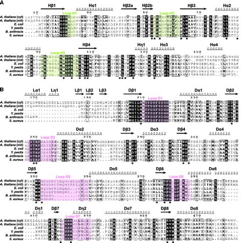 The Hppk Dhps Active Site Residues Are Conserved Download Scientific