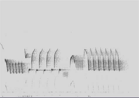 The Spectrogram A Visual Way To See A Birds Song Birdfox