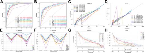 development and validation of an interpretable machine learning model