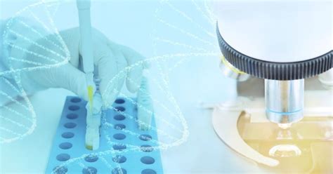 Difference Between Primary And Secondary Database In Bioinformatics