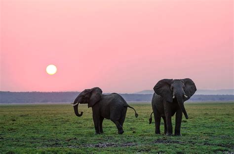 Postgres Not Equal Only Returns Non Null Values By Justin Boylan