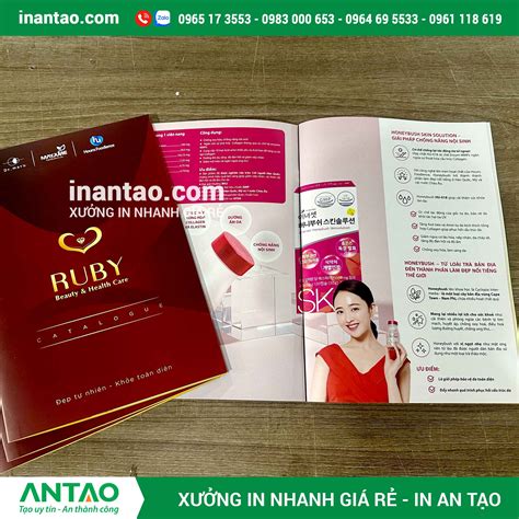 In catalogue bìa cứng giá rẻ TP HCM
