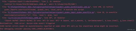 Bug小能手系列(python)_13: RuntimeError: CUDA error: device-side assert triggered CUDA kernel errors ...