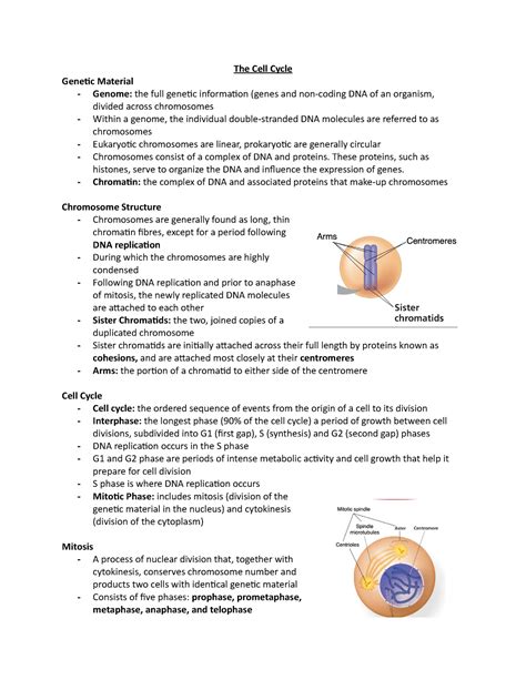 The Cell Cycle Lecture Notes For Bio 103 The Cell Cycle Genetic Material Genome The Full