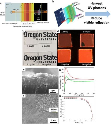 A Fdtd Simulation Model B Optical Images With Different