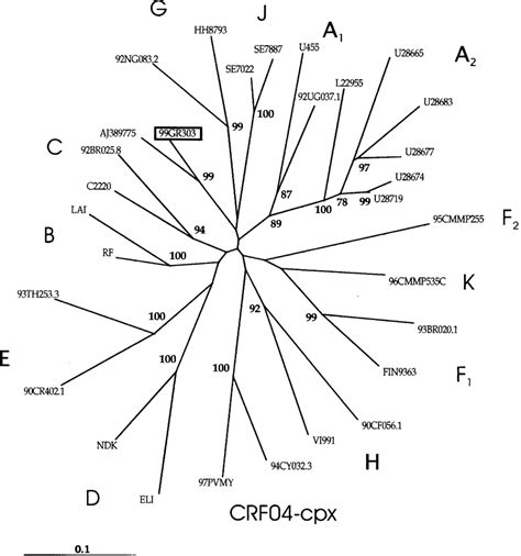 A Mosaic Structure Of The 99gr303 Isolate Genomic Sequence Partial