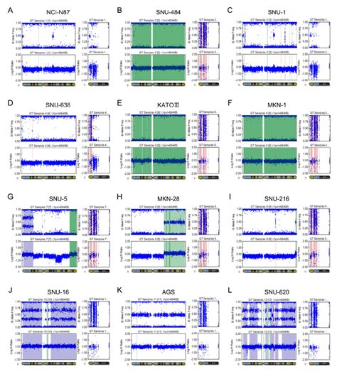 An Illustration Of B Allele Frequency Baf Upper Panel And Log R