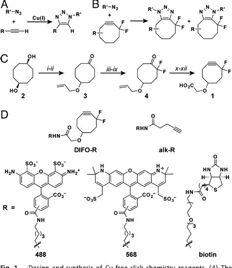 Figure 1 from Copper-free click chemistry for dynamic in vivo imaging ...